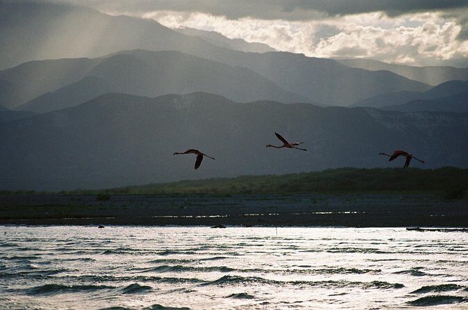 Nature Combo Oviedo Lagoon & Bahia de las Aguilas - The Sum Up