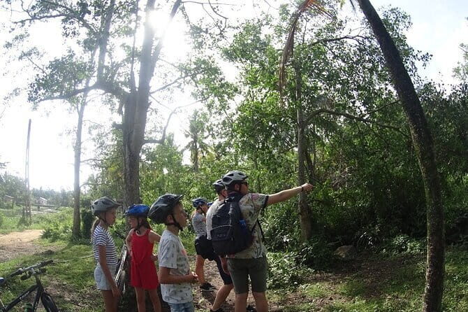 Nature cycling trail: paddy fields, cinnamon forests and villages  Galle - Who Will Love This Tour?