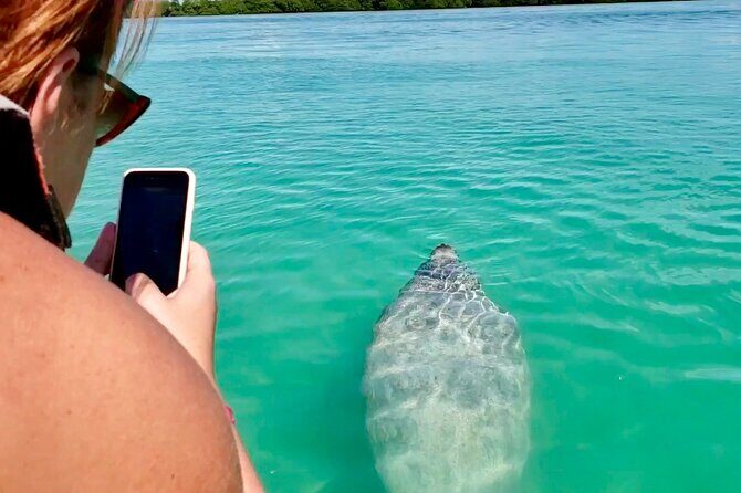 Nature Day, Sian Kaan Biosphere Tour! Round Transportation from Tulum City - Snorkeling in the World’s Second-Largest Reef
