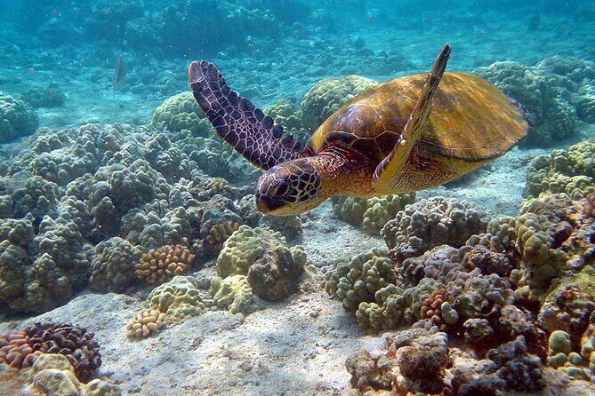 Nature Day, Sian Kaan Biosphere Tour! Round Transportation from Tulum City - Lunch & Free Time