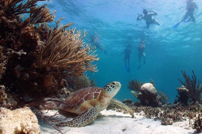 Nature Day, Sian Kaan Biosphere Tour! Round Transportation from Tulum City - Return & Reflection