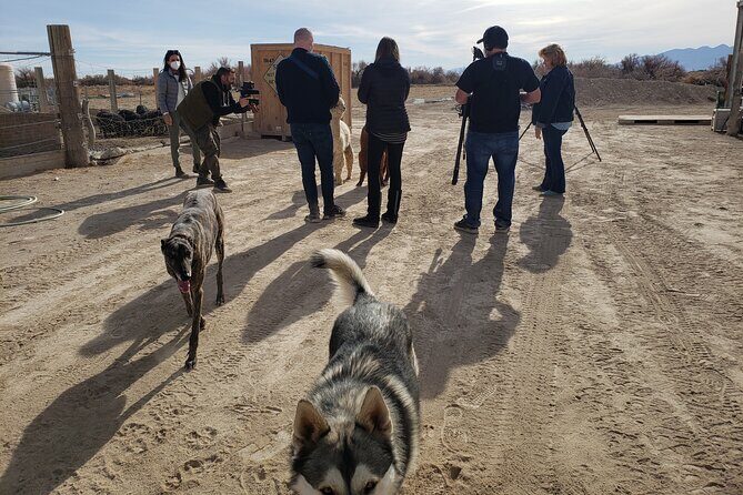 Nature Health Farms Alpaca Farm Petting Zoo Pahrump Death Valley - The Hemp Farm and Other Grounds