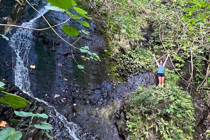 Nature Hike to Waterfall - The Itinerary: From Rainforest to Ocean Views