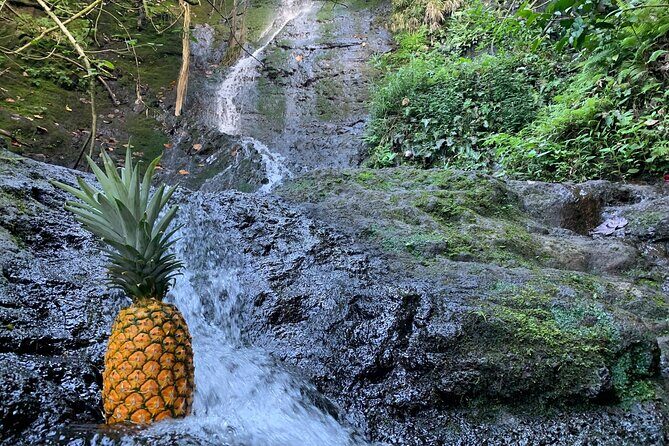 Nature Hike to Waterfall - Who Should Book This Tour?