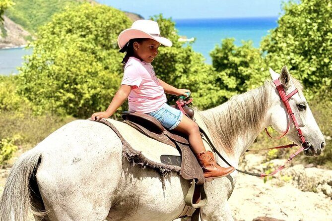 Nature & Historical Horseback Riding Tours St. Lucia - The Practicalities: Transport, Duration, and Cost