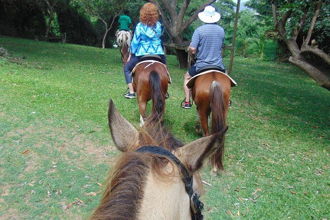 Nature & Historical Horseback Riding Tours St. Lucia - The Sum Up: Who Will Love This Tour?
