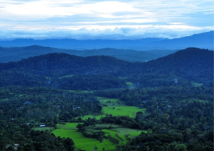 Nature & Spiritual Trails of Coorg (Guided Walking Tour) - A Closer Look at the Experience