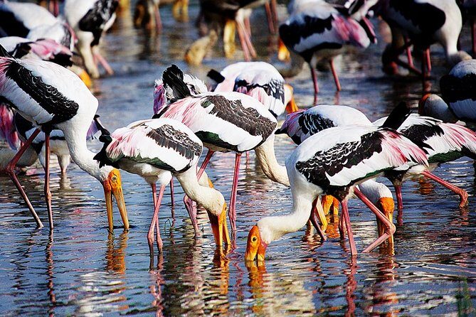 Nature Sri Lanka - Exploring the Richness of Sri Lanka in 11 Days