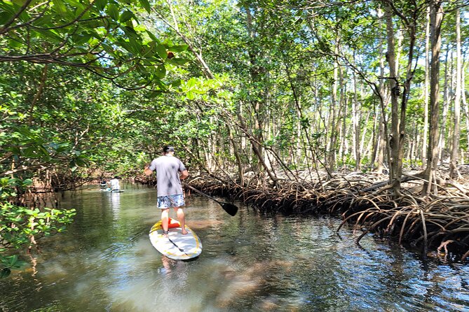 Nature Stand Up Paddle Boarding Experience in Miami - What the Tour Covers