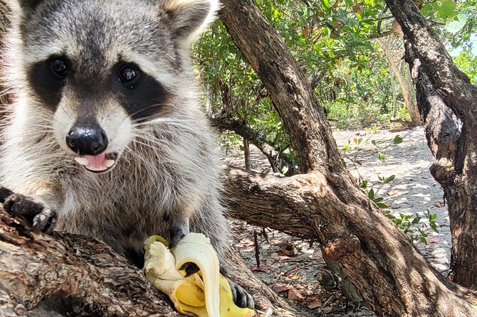 Nature Stand Up Paddle Boarding Experience in Miami - Cancellation and Flexibility