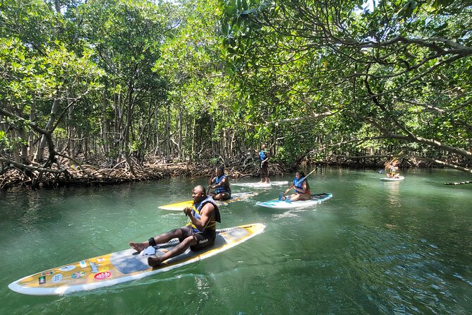Nature Stand Up Paddle Boarding Experience in Miami - Practical Tips