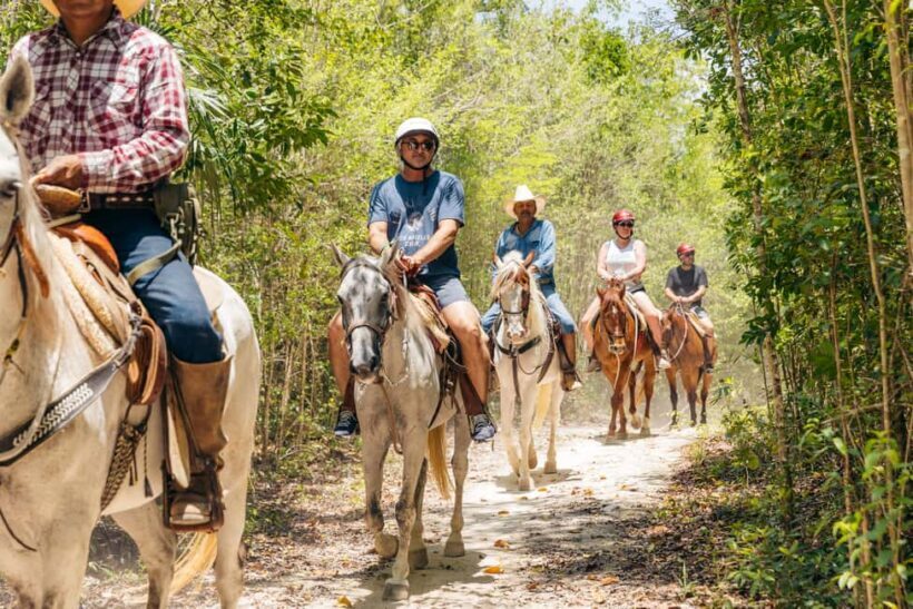 Nature Tour - Who Should Consider This Tour?