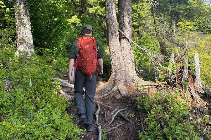 Nature Walk - Final Thoughts