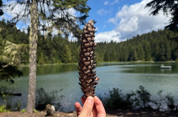 Nature Walk - FAQ: Your Questions Answered