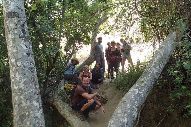Nature Walk/Hike Tour near Disneyland: ID plants & wildlife - The Sum Up