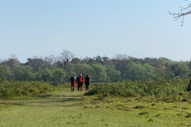 Nature Walk in Chitwan Jungle Safari with Guide - A Closer Look at the Chitwan Jungle Walk Experience