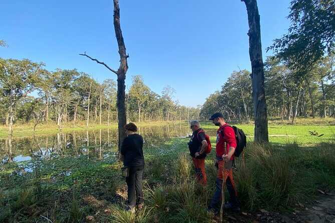 Nature Walk in Chitwan Jungle Safari with Guide - FAQs