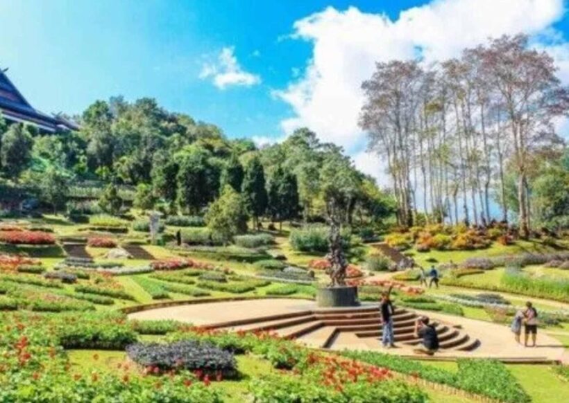 Nature Walk of Chandigarh( 2 Hours Walking Tour) - Discovering Chandigarh’s Green Spaces: What the Tour Includes