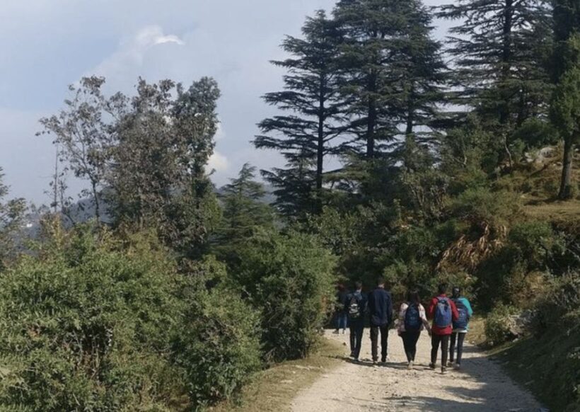 Nature Walk of Mussoorie (2 Hours Guided Walking Tour) - Exploring the Nature Walk of Mussoorie: A Refreshing Journey into the Hills