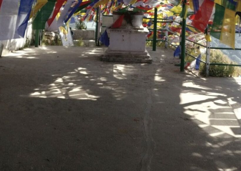 Nature Walk of Mussoorie (2 Hours Guided Walking Tour) - Why This Tour Offers Good Value