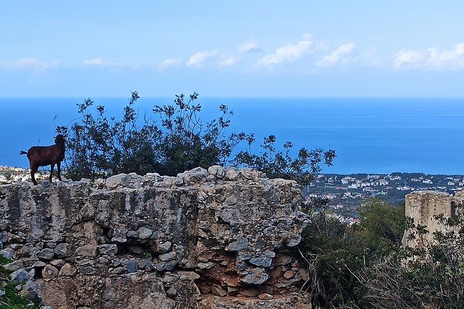 Nature Walking tour in the Mediterranean Cyprus-6days - Key Points