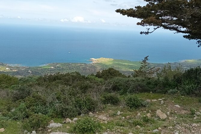 Nature Walking tour in the Mediterranean Cyprus-6days - Frequently Asked Questions