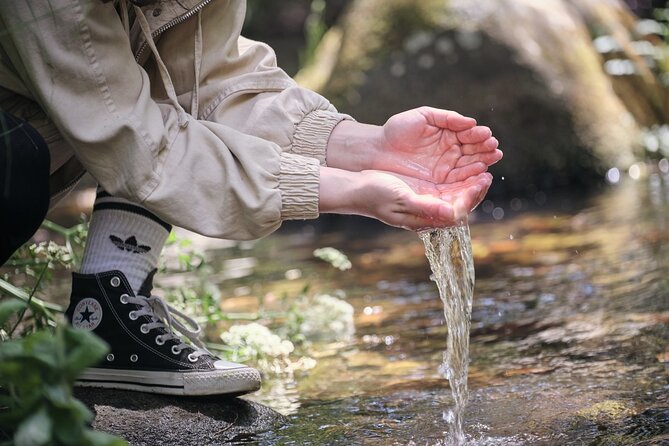 Nature walks in Marvão - Value and Practicality