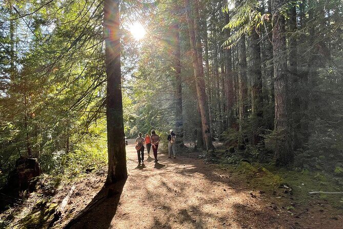 Nature Walks in Pacific - Exploring the Best of Beacon Hill Park: A Guided Nature Walk on Vancouver Island