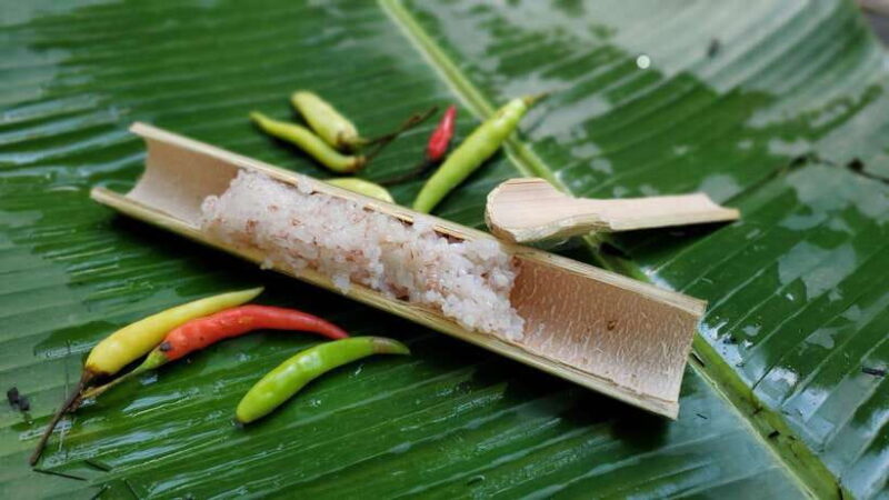 Nature wellness retreat - Authenticity & Cultural Connection