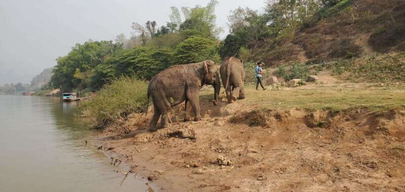 Nature wellness retreat - The Value of the Experience