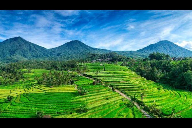 Nature's Beauty Unveiled: Jatiluwih Rice Terrace and Temple - In-Depth Review of the Tour Experience