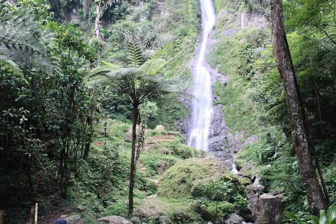 Nature's healing Bandung country side - A Closer Look at the Itinerary