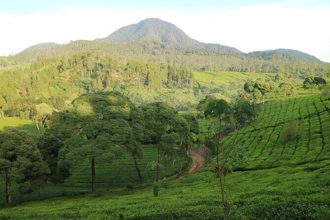 Nature's healing Bandung country side - Transportation & Timing