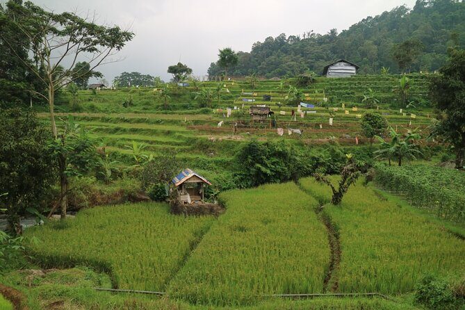 Nature's healing Bandung country side - FAQ