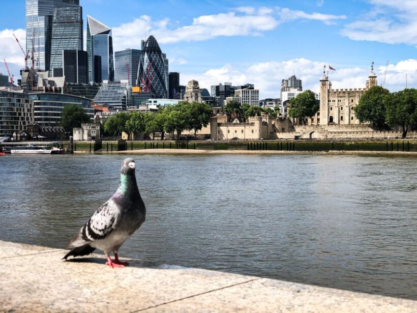 Naughty London: Unsavoury History Walking Tour - An Engaging Journey Through Southwark’s Notorious Past
