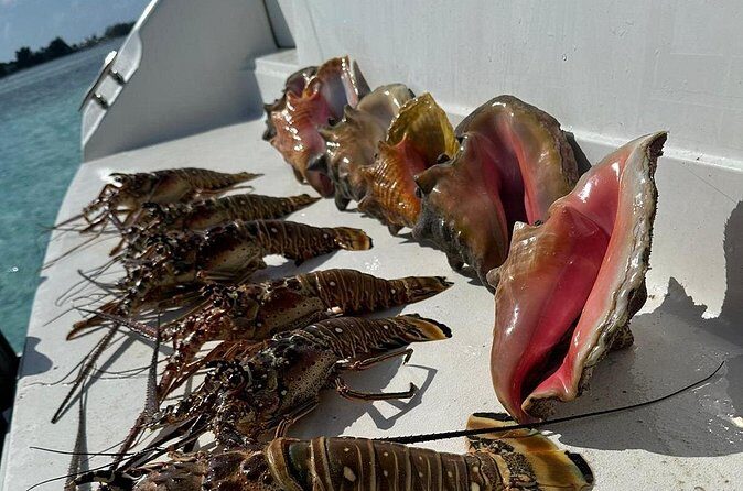 Nauti Dreams Private Boat Charter - The Sum Up