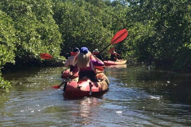 Nauti Exposures - Guided kayak tour through the Mangroves - Who Will Love This Tour?