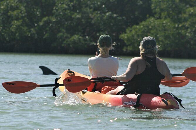Nauti Exposures - Guided kayak tour through the Mangroves - Final Thoughts: Is It Worth It?