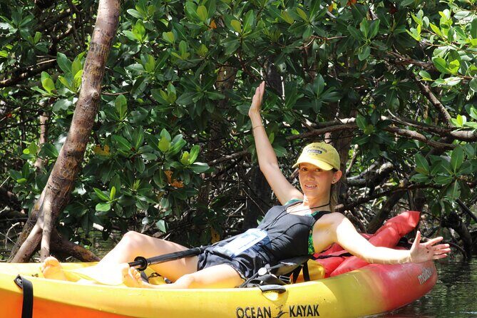 Nauti Exposures - Kayak rental Naples, FL - Exploring Naples’ Waterways: What to Expect from the Tour