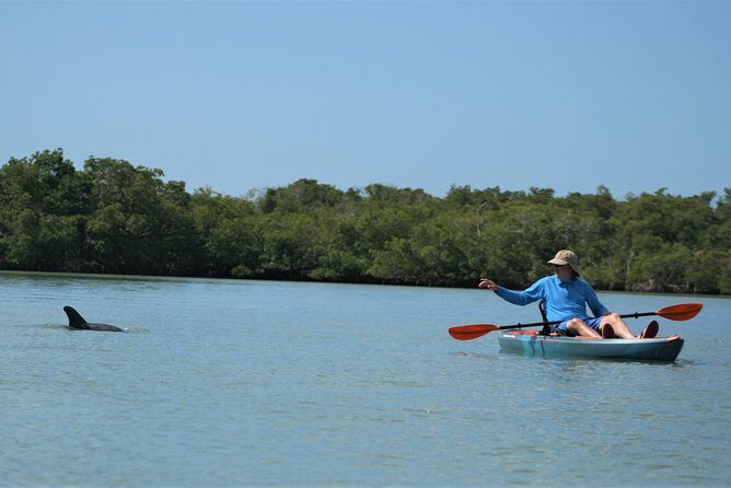 Nauti Exposures - Kayak rental Naples, FL - The Value of the Experience: Price and What You’re Getting