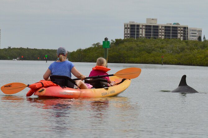 Nauti Exposures - Kayak rental Naples, FL - Final Thoughts: Is This Kayaking Tour Worth It?