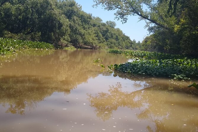 Nautical Safari in Tigre - Discovering the Tigre Delta