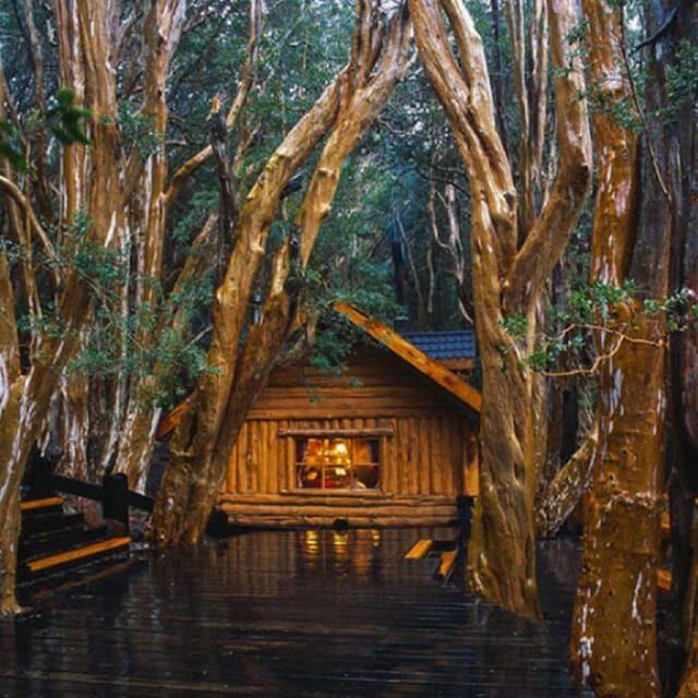 Navigation through Isla Victoria and Bosque de Arrayanes - Key Points