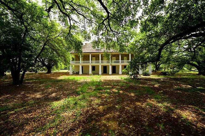 Nawlins Luxury: Double Plantation Whitney & Oak Alley with Transportation - Who Should Consider This Tour?