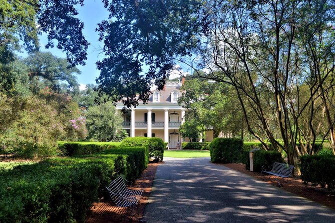 N’awlins Luxury: Laura, Oak Alley or Whitney Plantation Tour w/Transportation - Exploring the Plantations in Detail