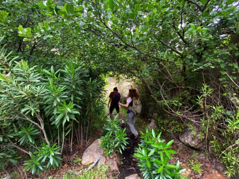 Naxos: A Riverbank Adventure (Kinidaros - Eggares villages) - The Olive Press Museum in Eggares