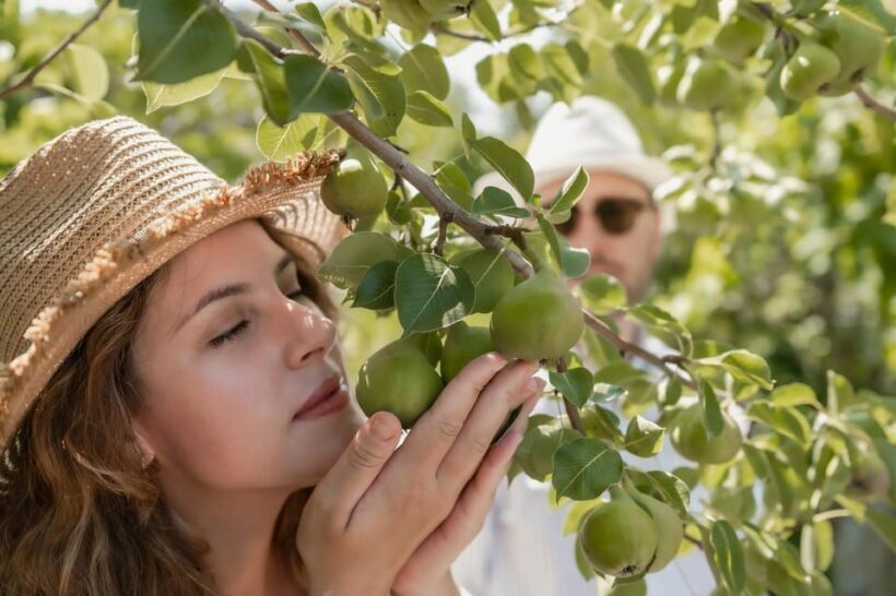 Naxos: Cooking experience near Kouros, Tour and Live Music - The Itinerary Breakdown