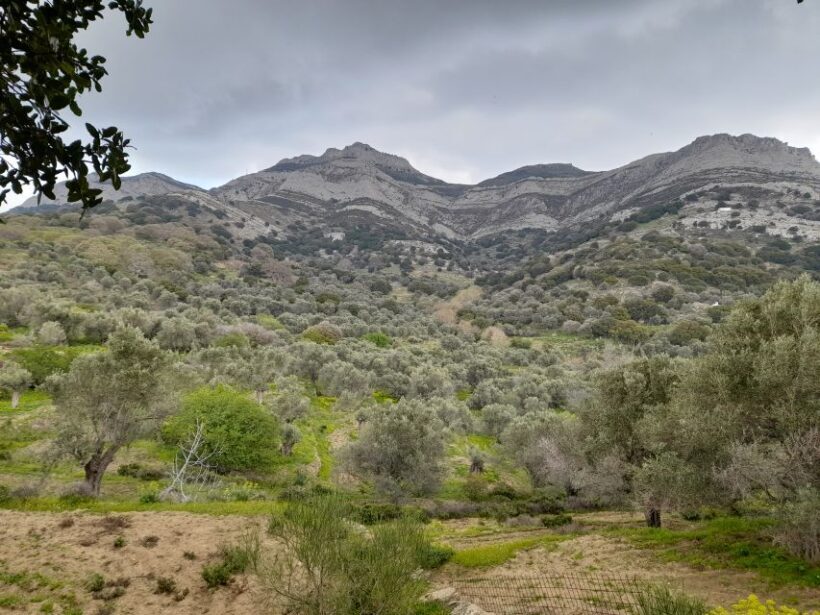 Naxos: Countryside hike among villages & Byzantine churches - Key Points