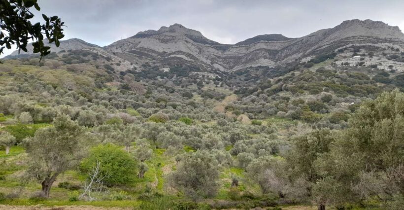 Naxos: Countryside hike among villages & Byzantine churches - Practical Considerations