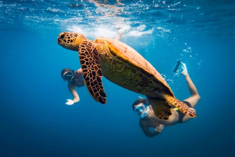 Naxos: Discover Scuba Diving on Agios Georgios Beach - Key Points